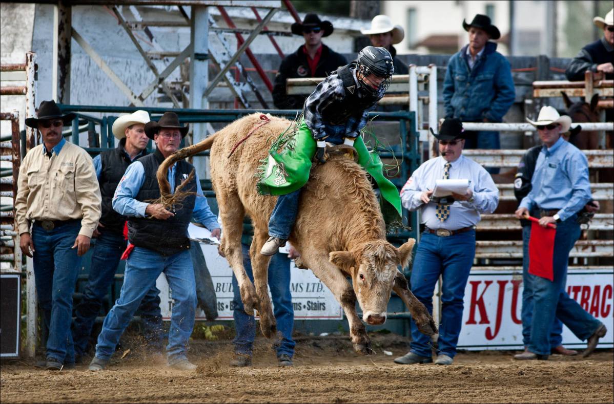 Cochrane | Christopher Martin Photography