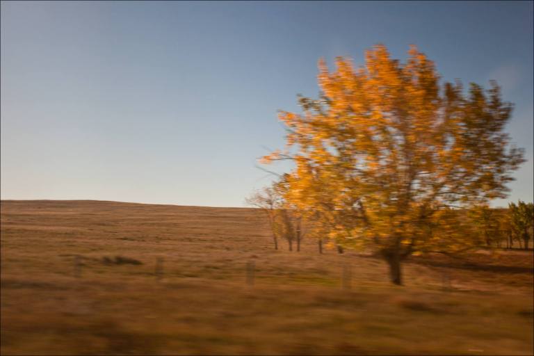 Saskatchewan | Christopher Martin Photography