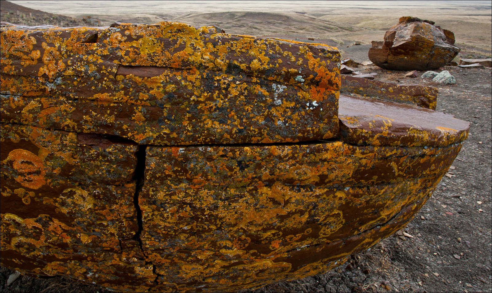 Red Rock Coulee Natural Area | Christopher Martin Photography