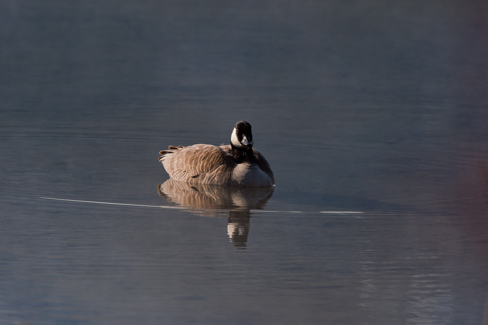 Art Wolfe Visit-1616 | Christopher Martin Photography