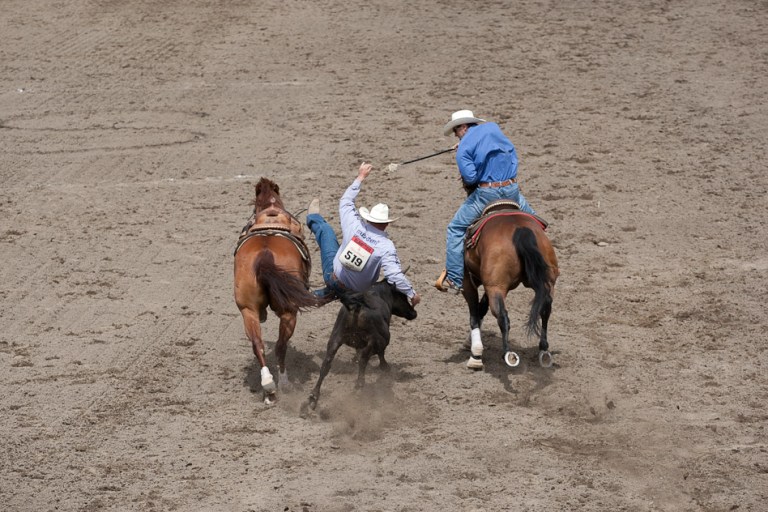 saddle bronc | Christopher Martin Photography