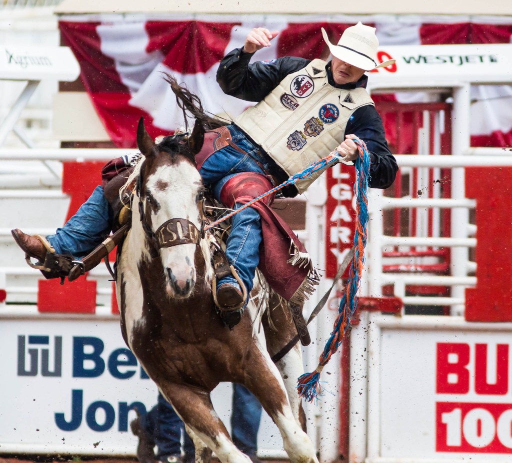 saddle bronc | Christopher Martin Photography