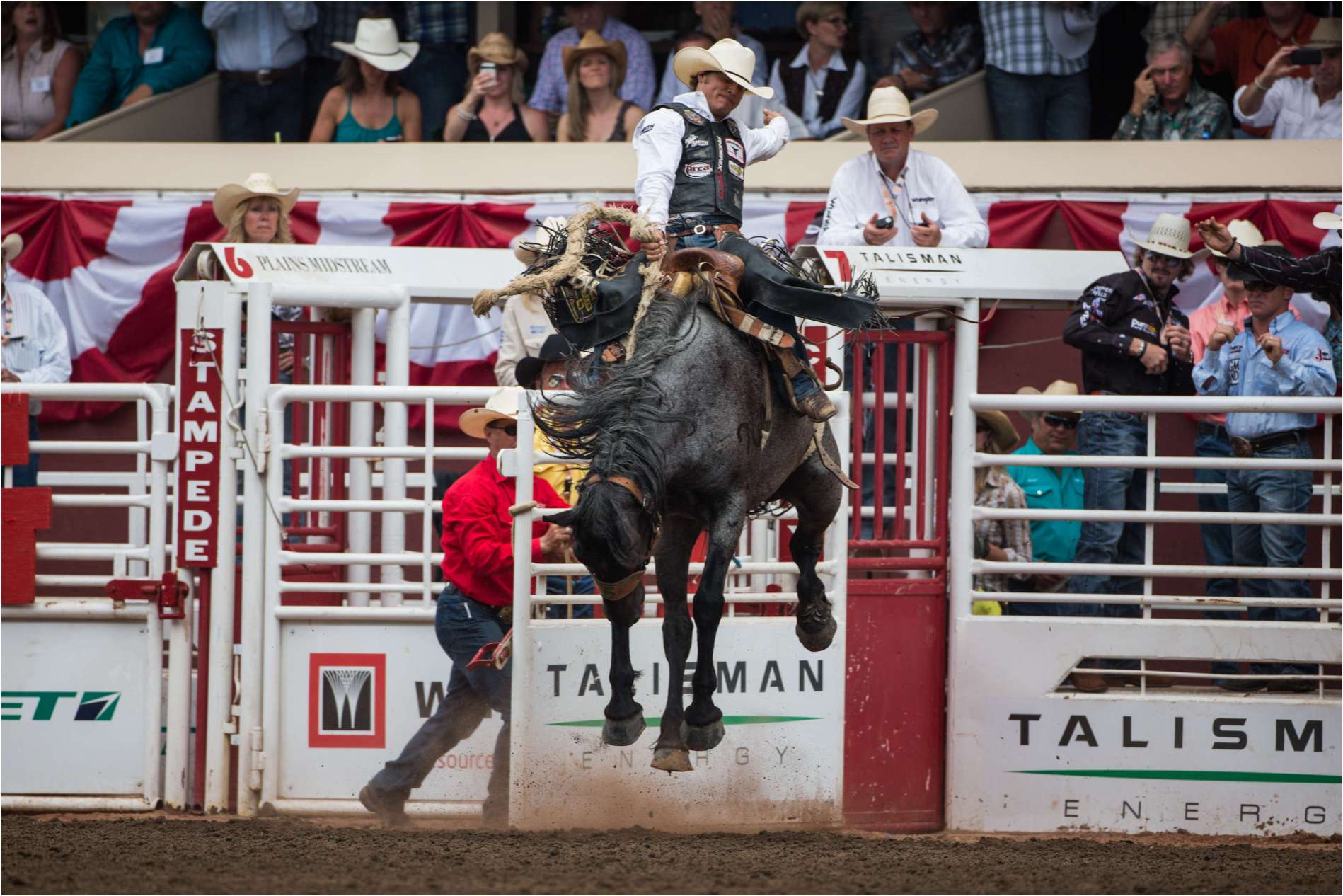 saddle bronc | Christopher Martin Photography