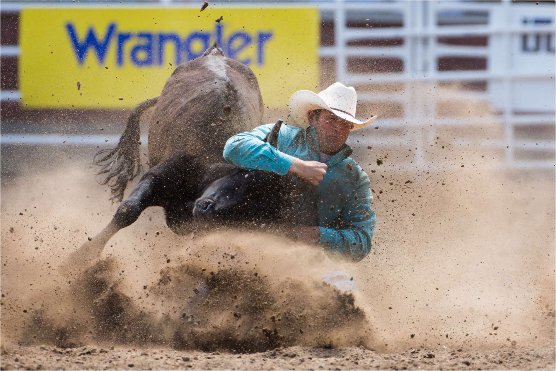 saddle bronc | Christopher Martin Photography