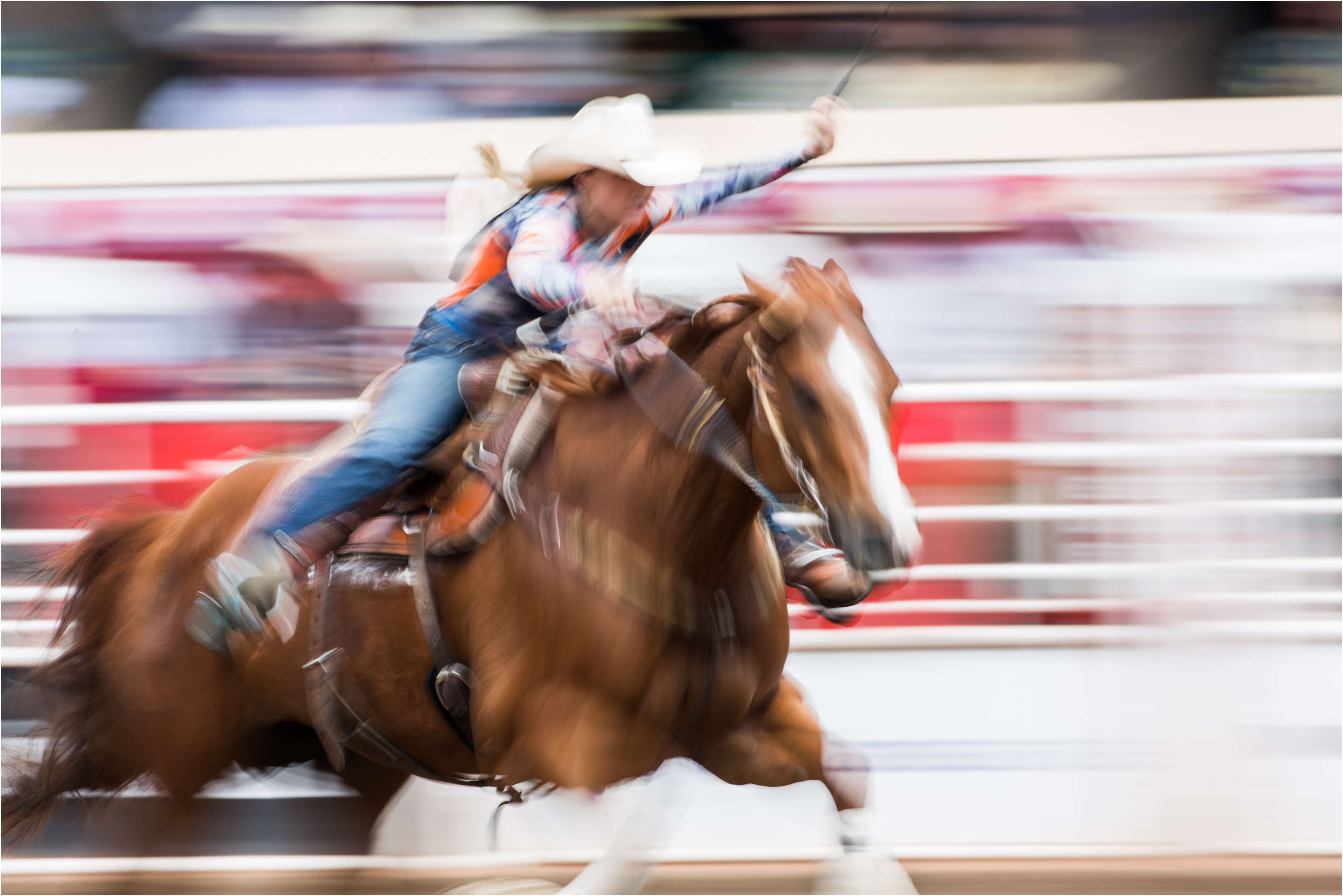 Ladies Barrel Racing | Christopher Martin Photography