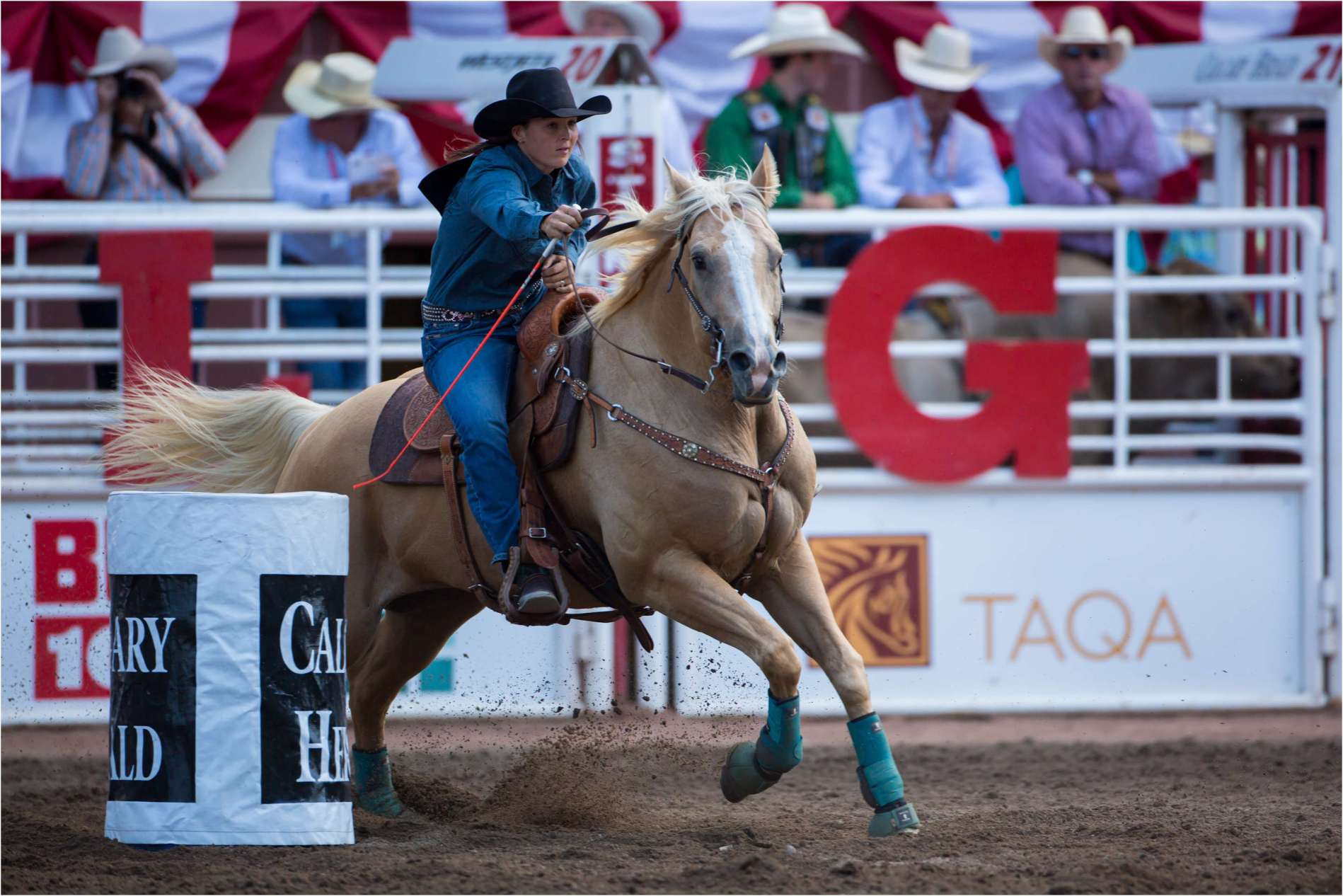 saddle bronc | Christopher Martin Photography