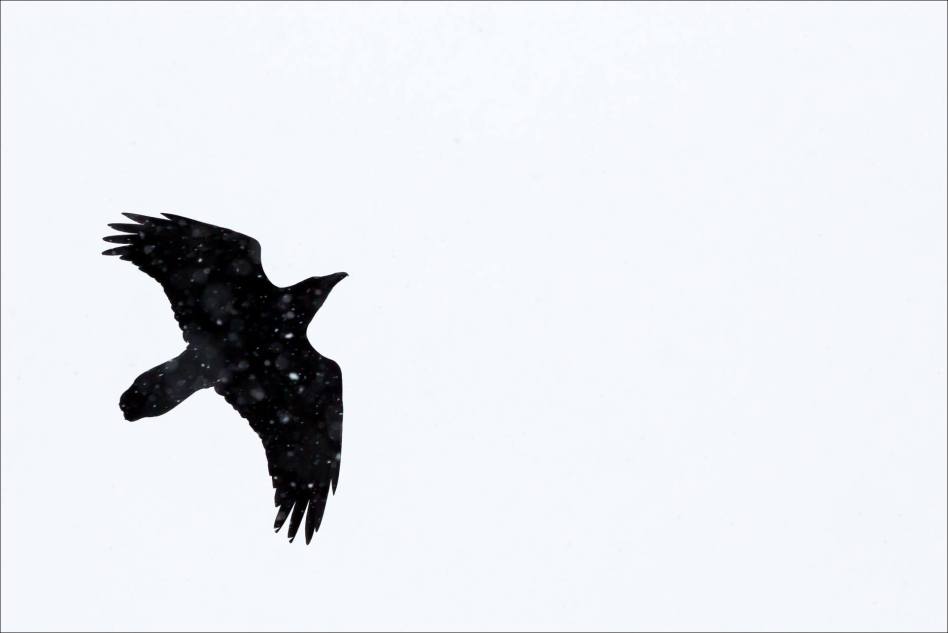 river | Christopher Martin Photography