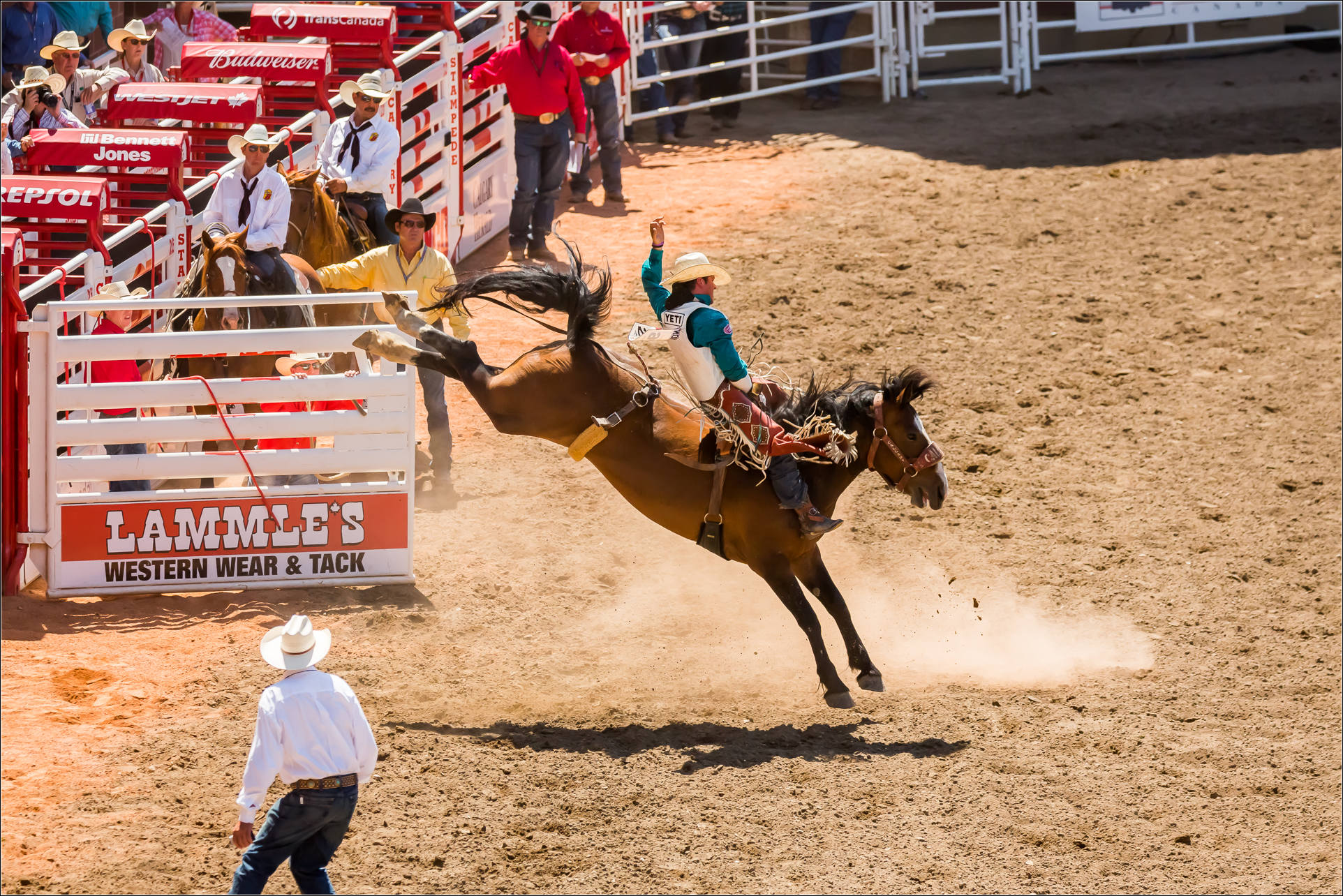 Calgary Stampede Rodeo – Day 1 Bareback | Christopher Martin Photography