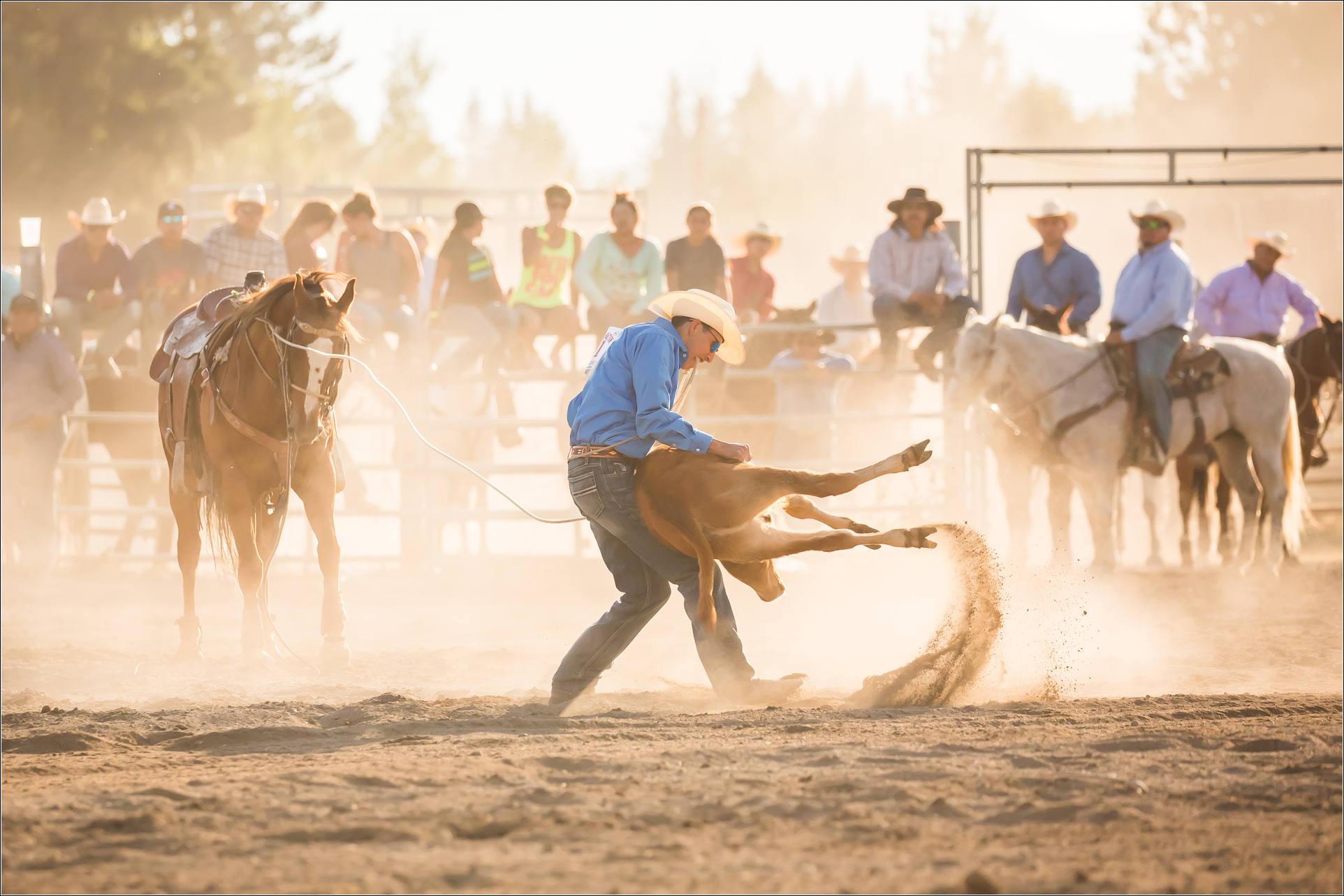 cowboy | Christopher Martin Photography