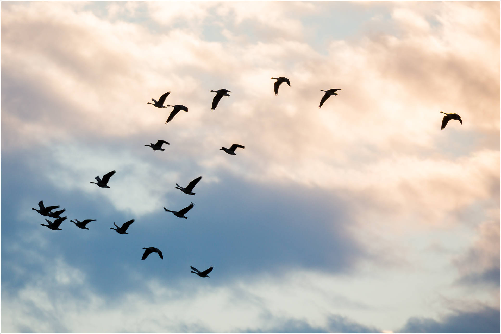 panning | Christopher Martin Photography