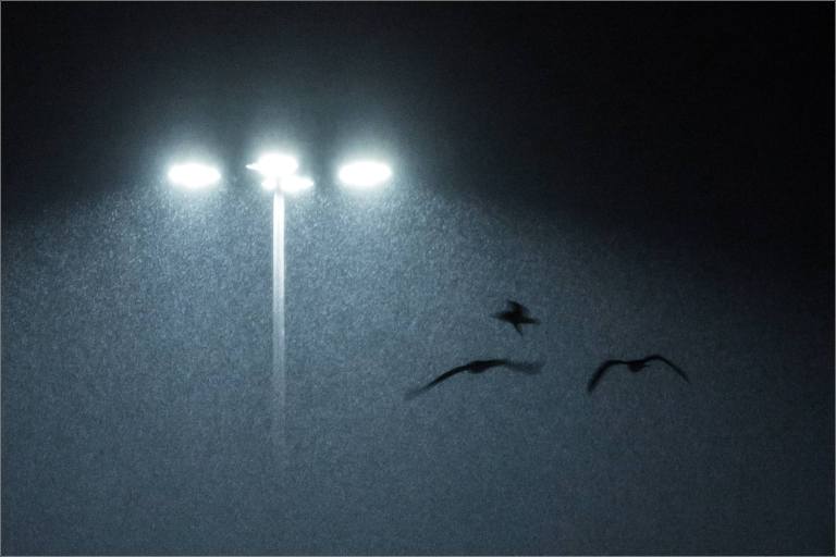 motion blur | Christopher Martin Photography