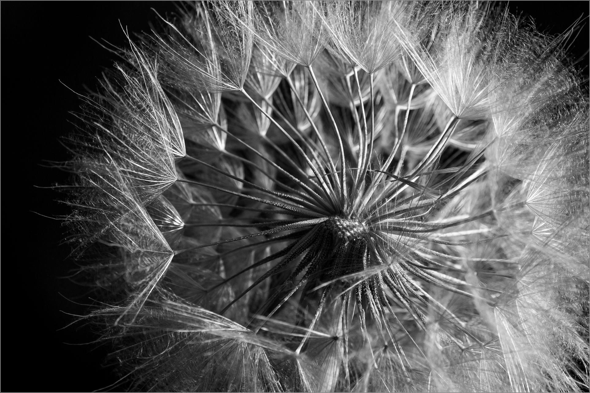 Form and light | Christopher Martin Photography