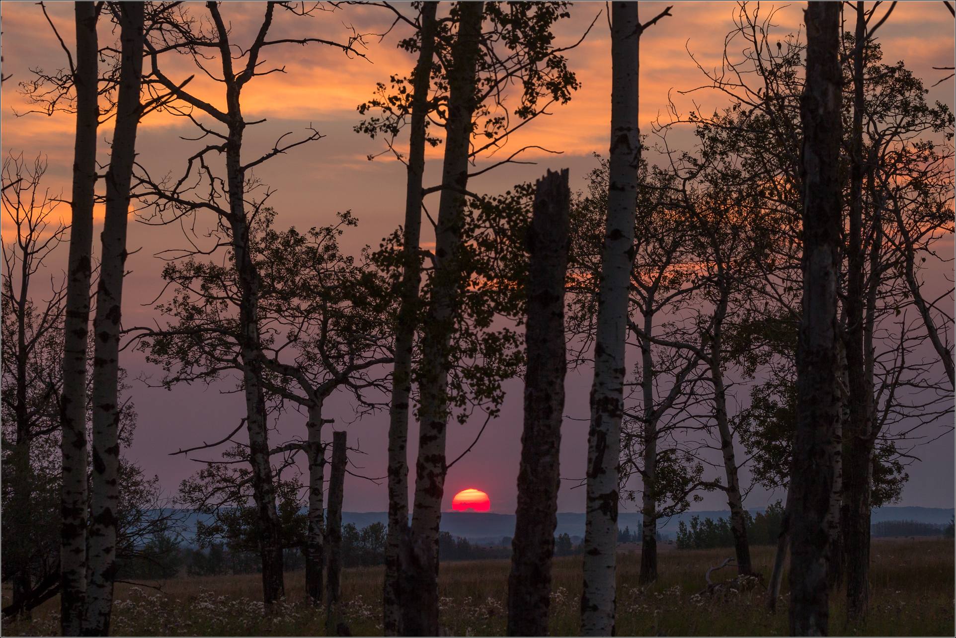 Springbank | Christopher Martin Photography