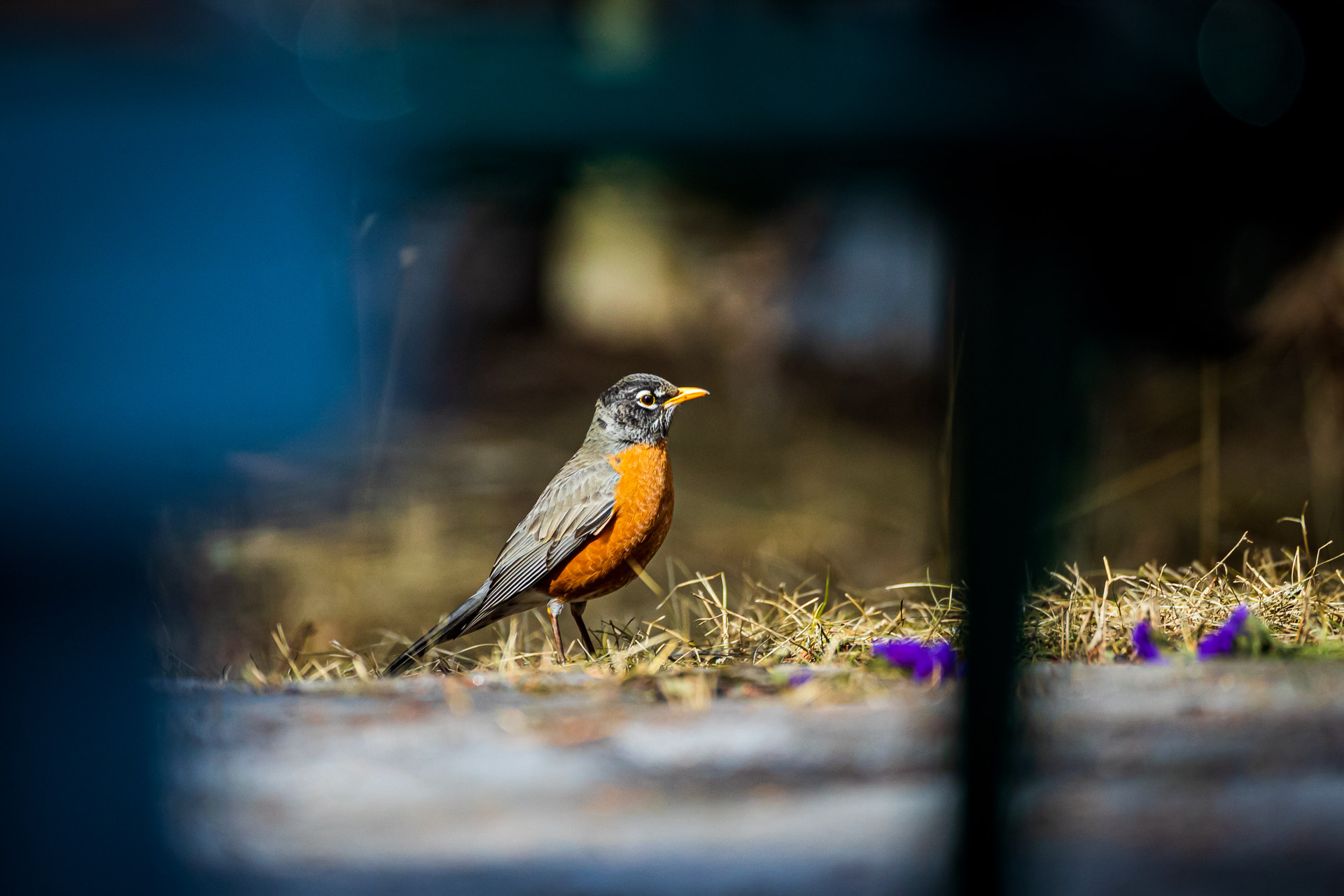 Happy Easter! | Christopher Martin Photography