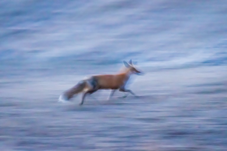 motion blur | Christopher Martin Photography