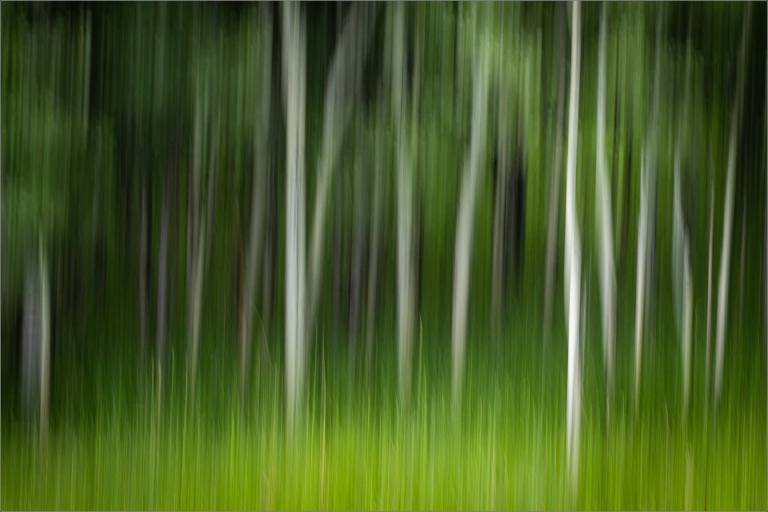 Landscapes | Christopher Martin Photography