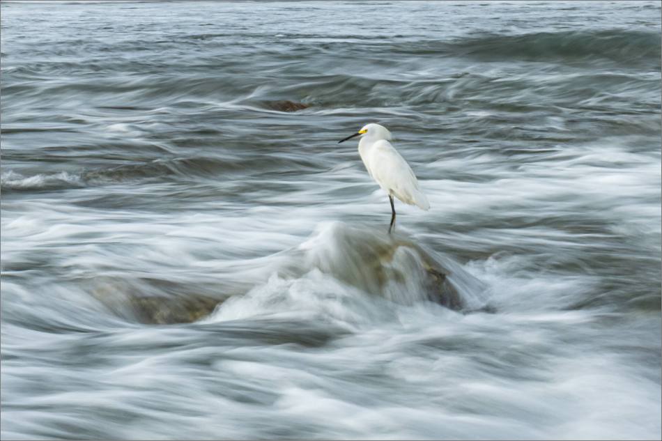 motion blur | Christopher Martin Photography