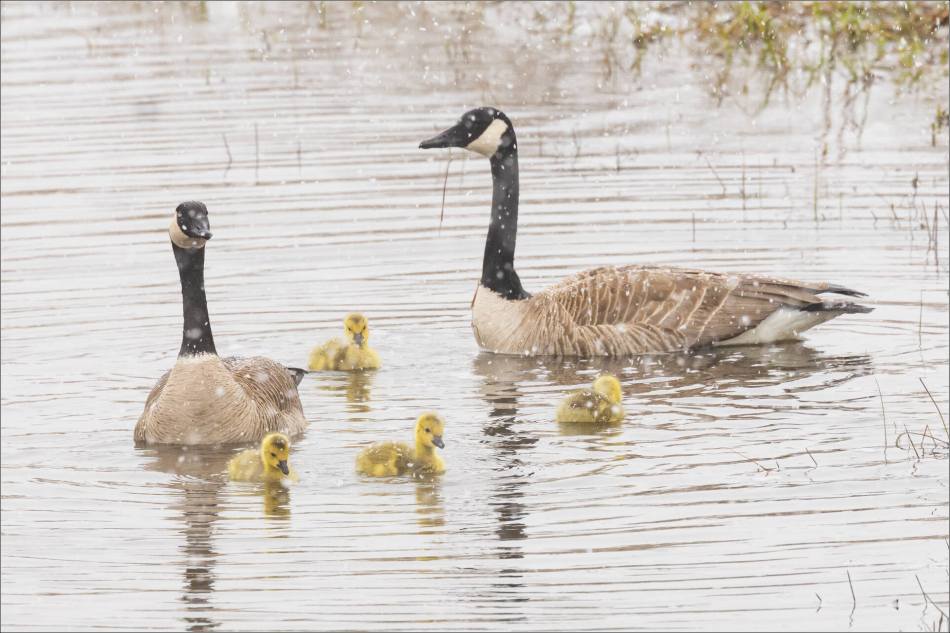 Christopher Martin Photography