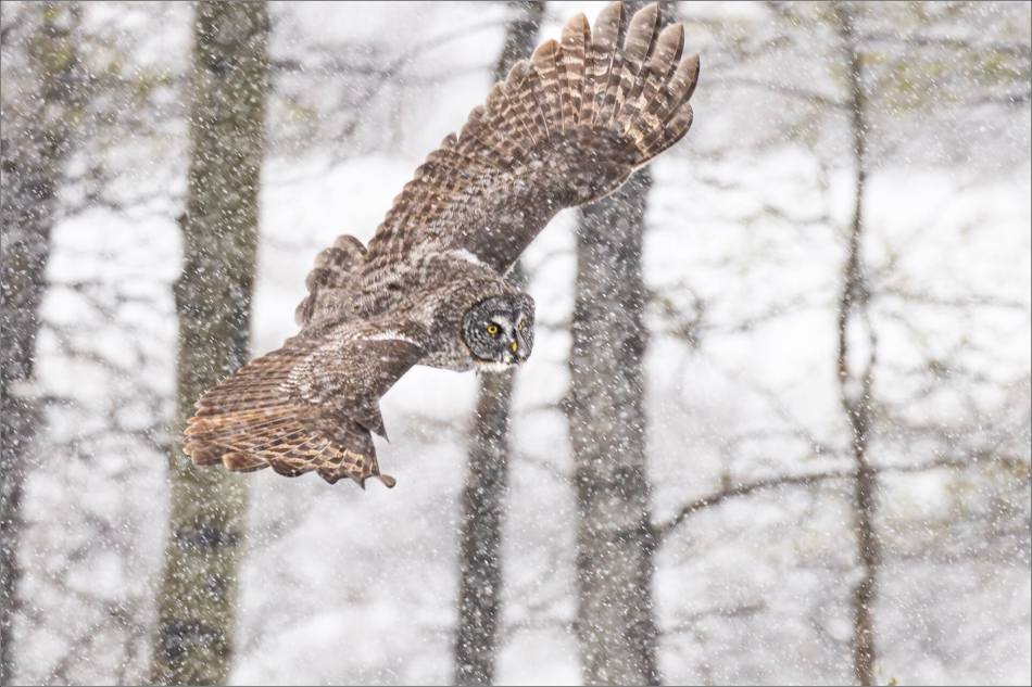 Christopher Martin Photography