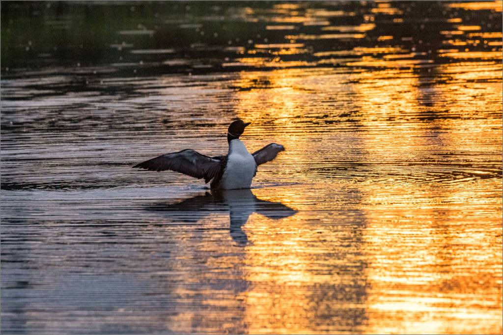 motion blur | Christopher Martin Photography
